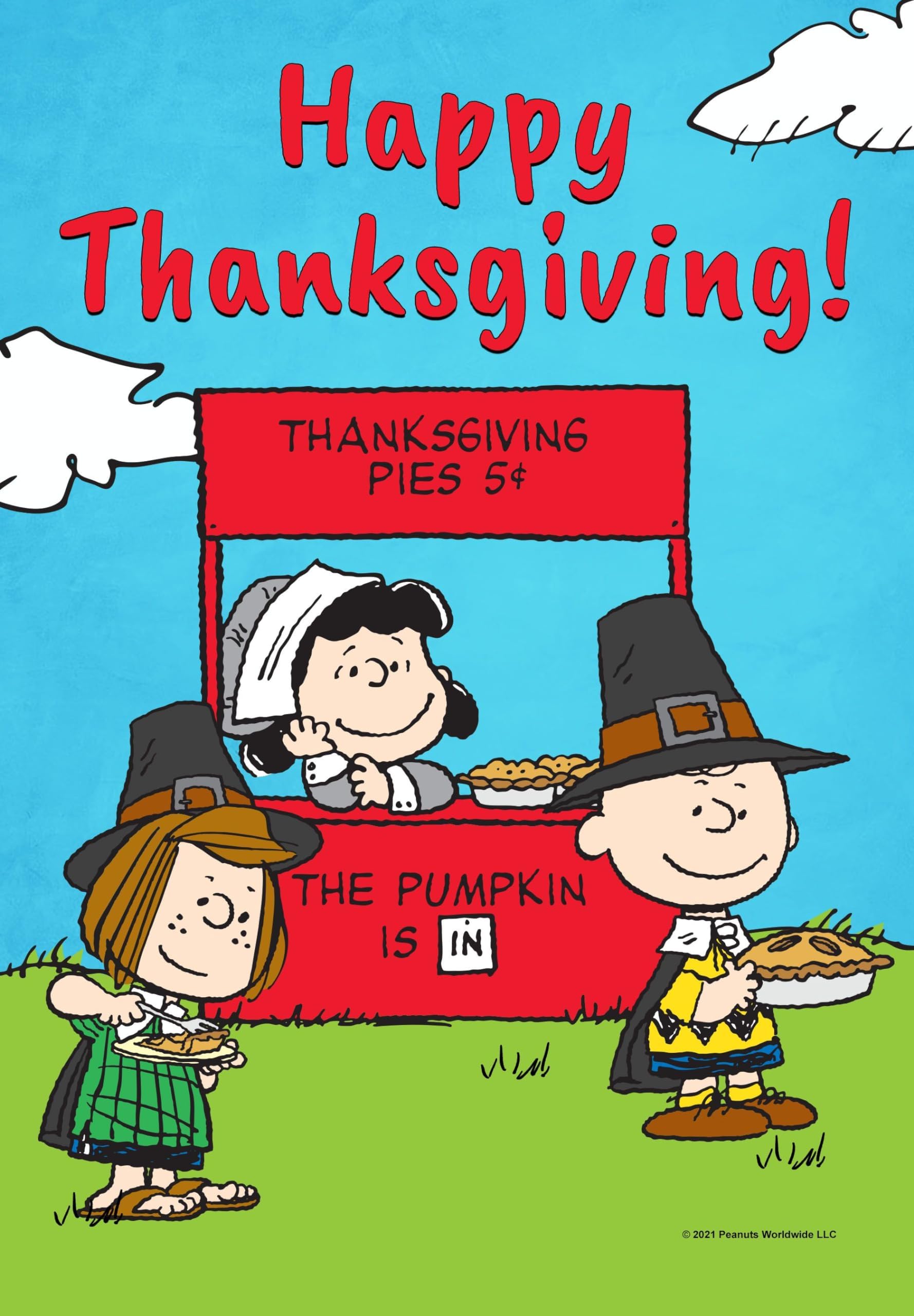 Amazon.com : BACKYARD GLORY Peanuts The Pumpkin Pie is In Garden Flag ...