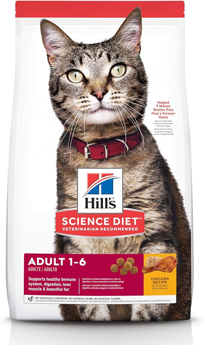 The 12 Best Low Carb Dry Cat Food For Diabetic Cats In 2023 Top 