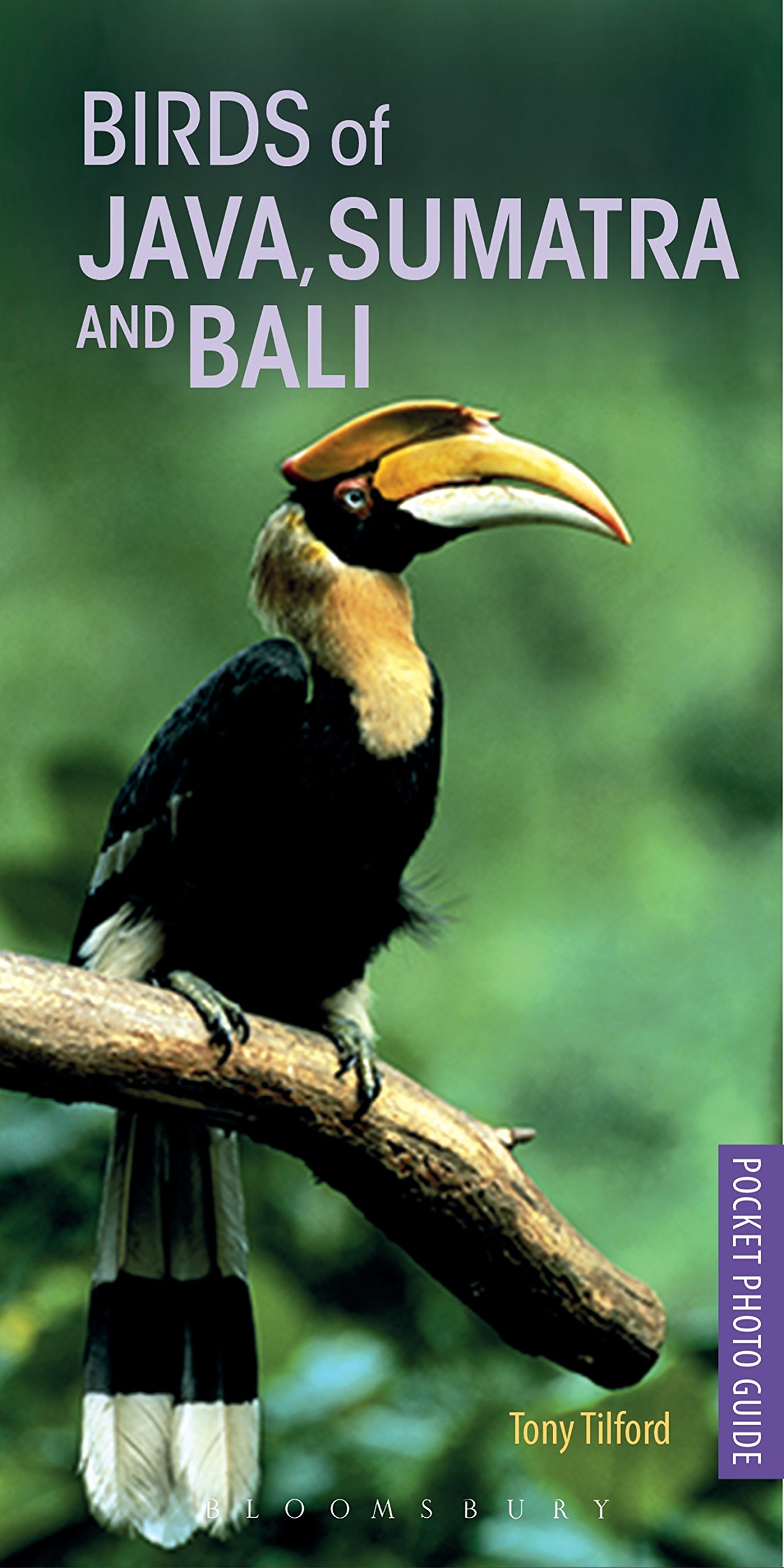 Birds of Java, Sumatra and Bali (Pocket Photo Guides): Tilford, Tony ...