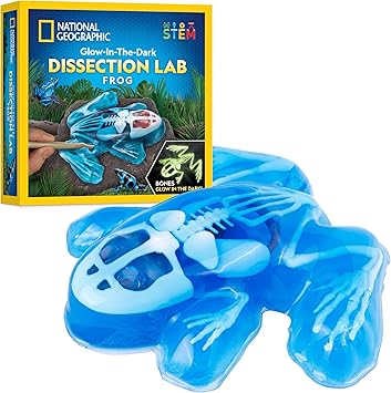 Amazon.com: NATIONAL GEOGRAPHIC Frog Dissection Kit Anatomy Lab - Glow ...