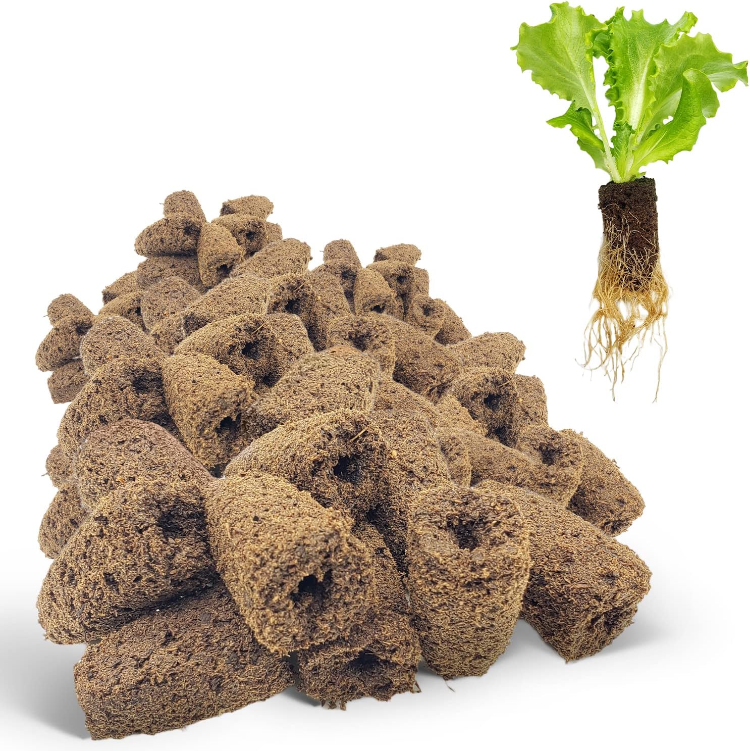 BioPlug Germination Rooter Cube - Replacement Root Growth Sponges Kit ...