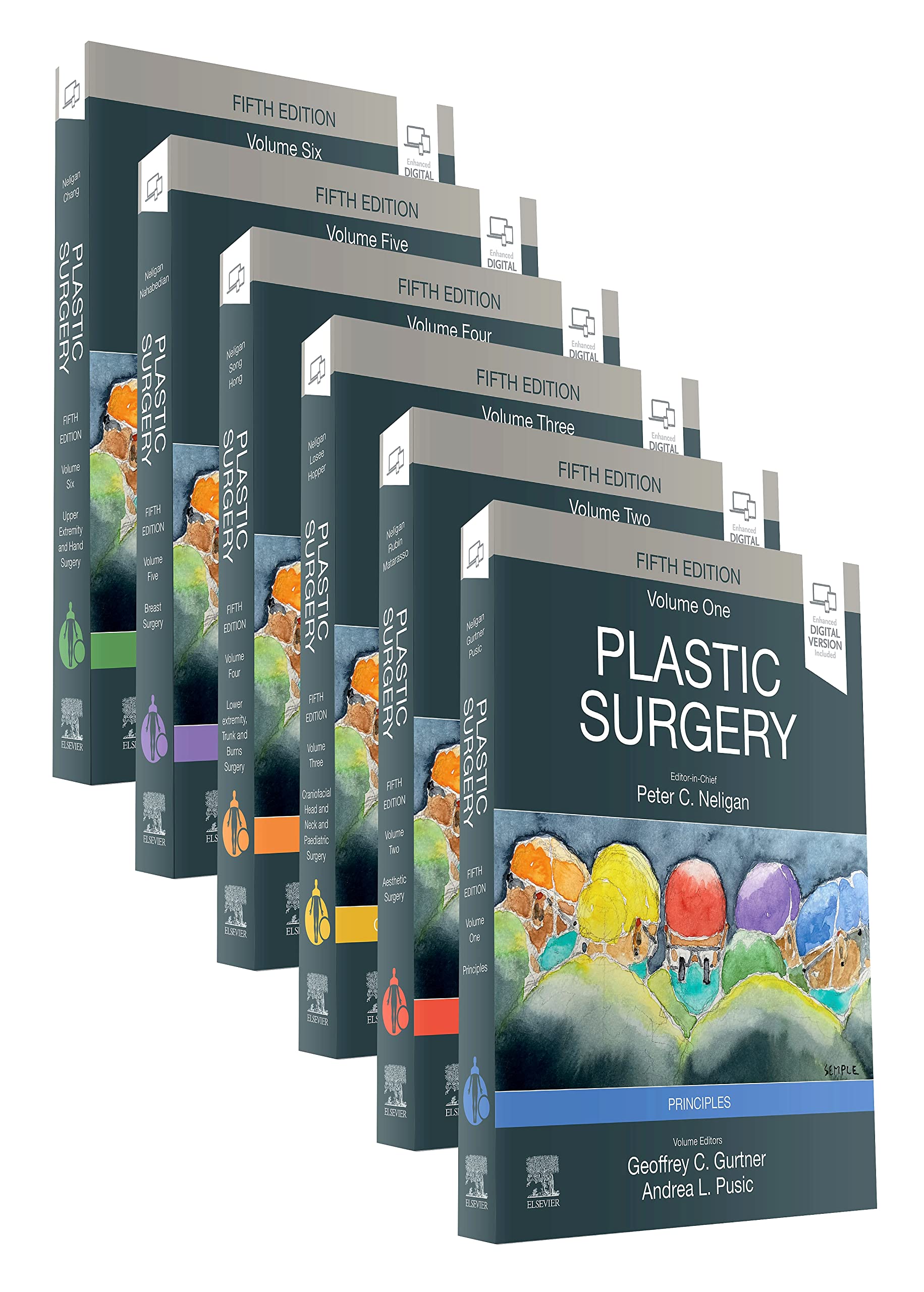 Amazon | Plastic Surgery: 6-Volume Set | Neligan MB FRCS(I) FRCSC FACS ...