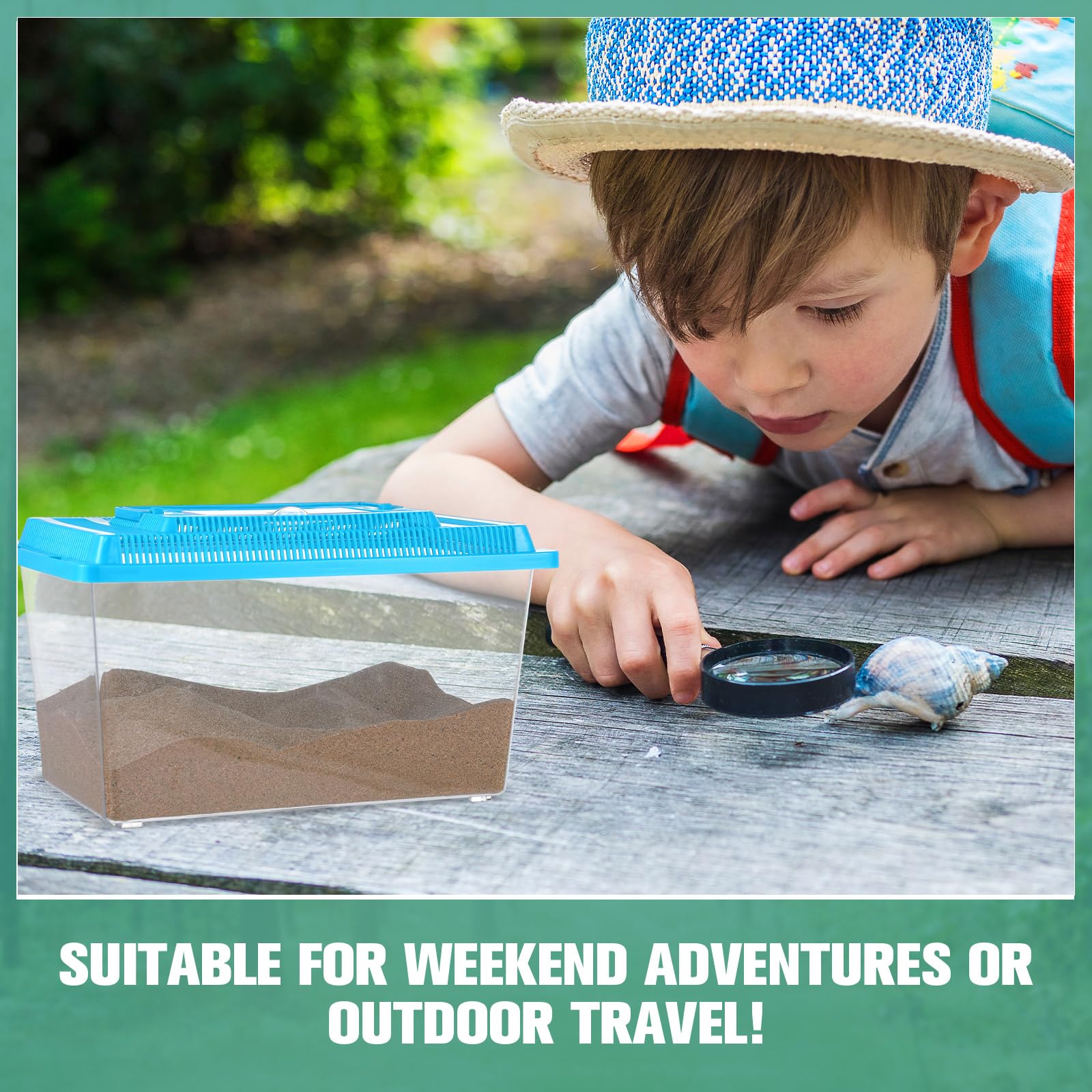 Spider Tarantula Enclosure Reptile Terrarium Plastic Portable Reptile ...