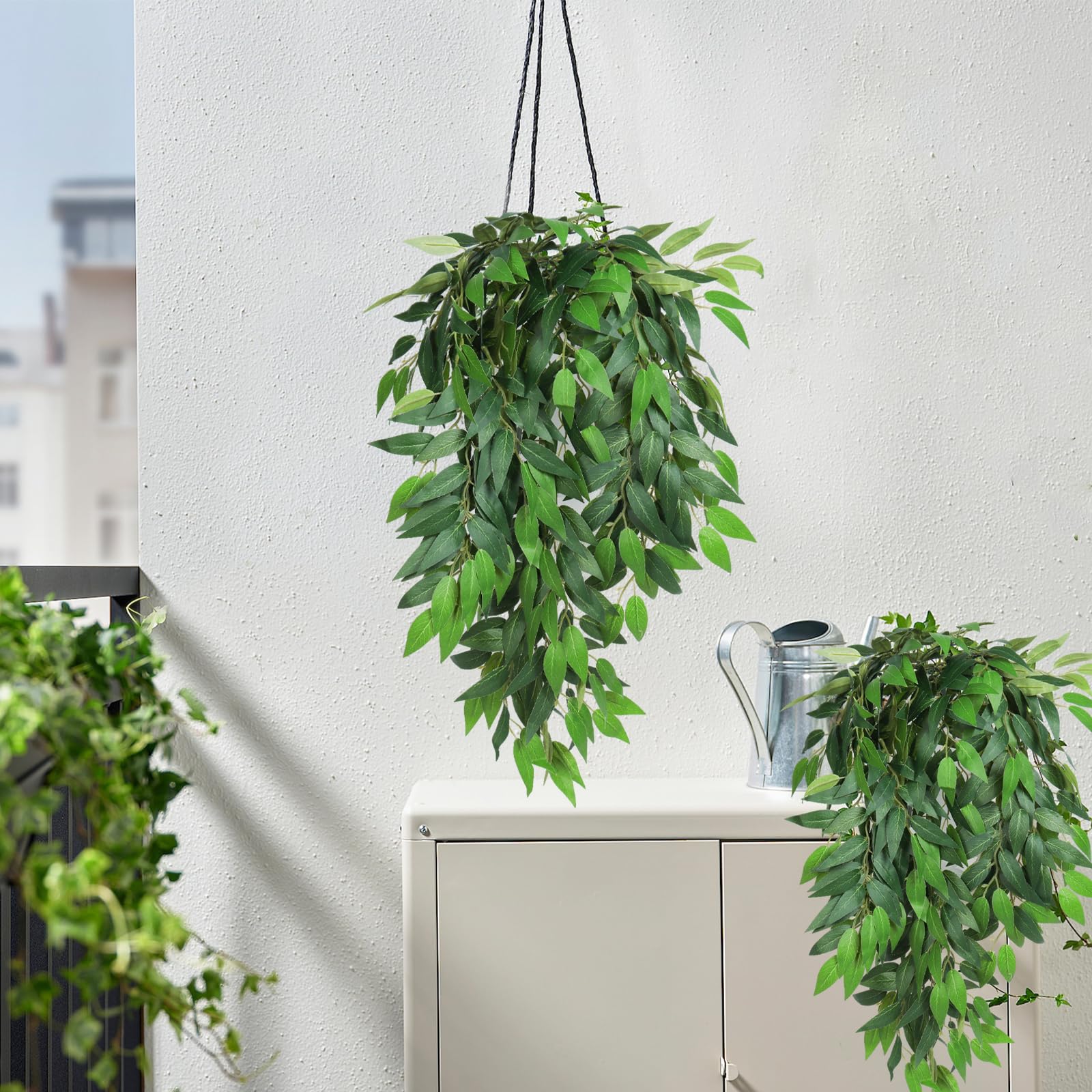 Willows Leaves 🍂 Why Is My Corkscrew Willow Dropping Leaves?