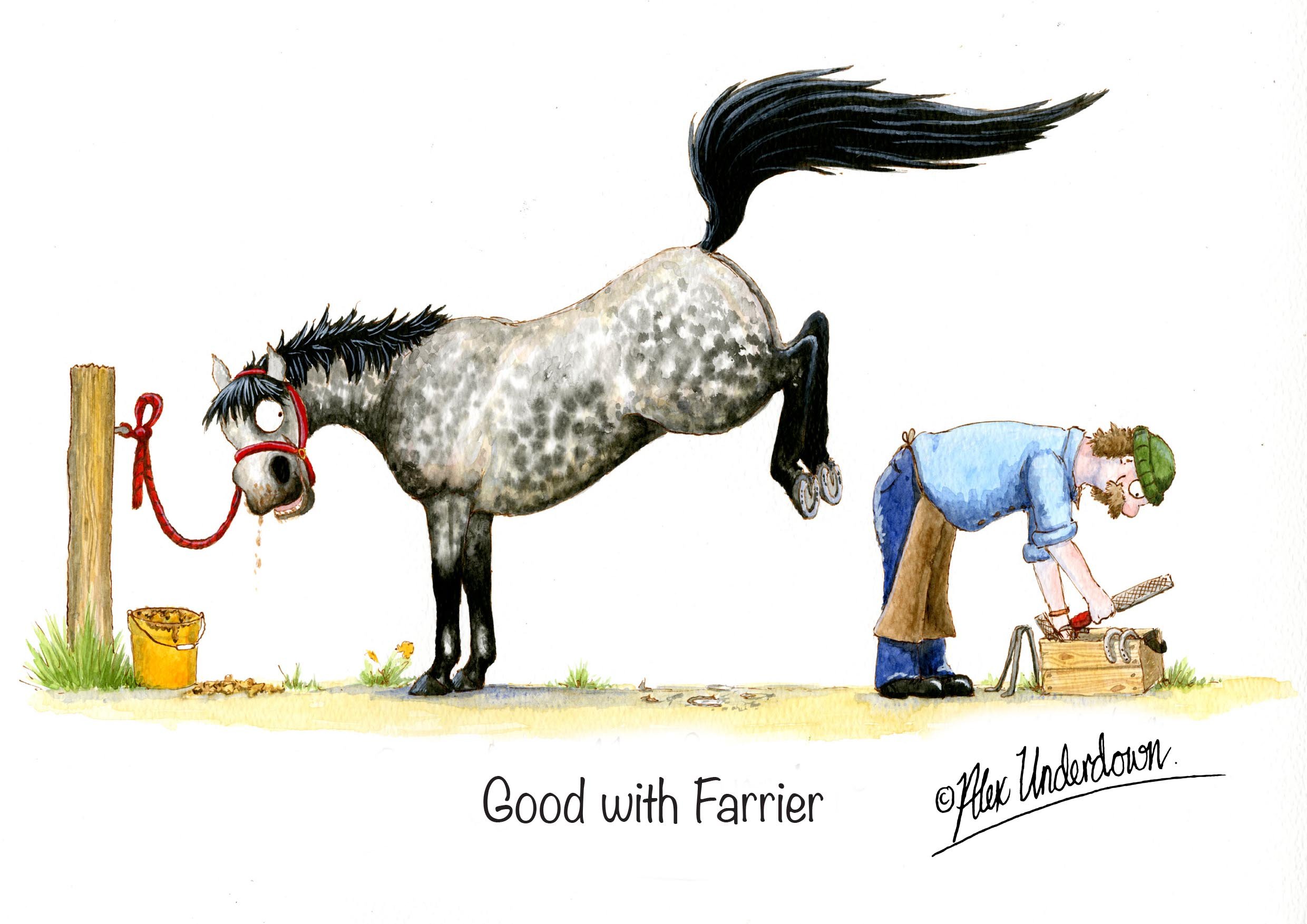 Funny Horse Greeting Card. Good with Farrier by Alex Underdown. A Great ...