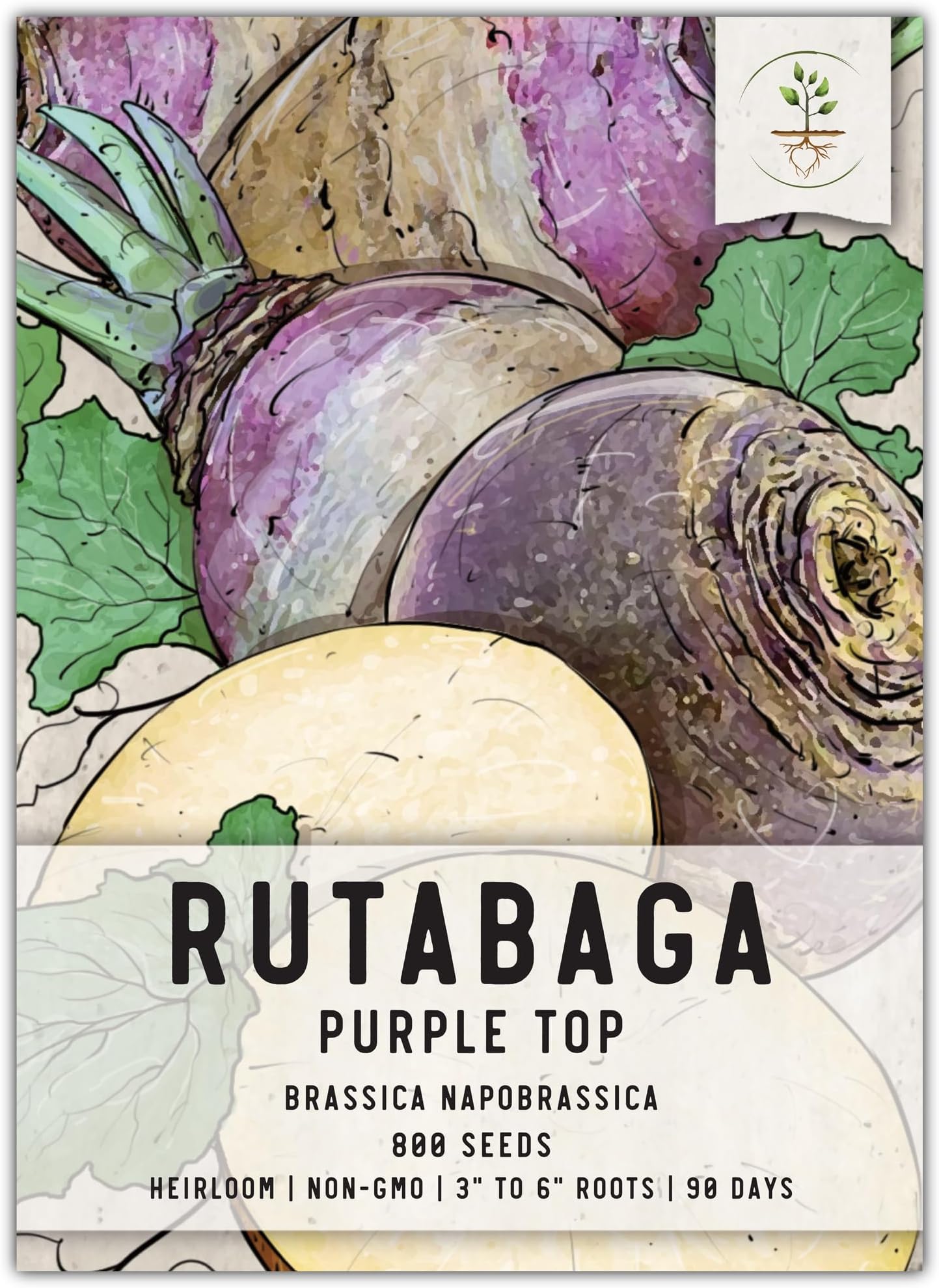 Amazon.com : Rutabaga, American Purple Top Rutabaga Seeds, Heirloom ...