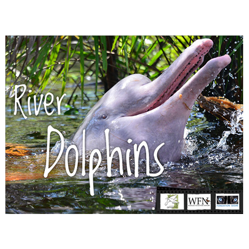 River Dolphins - App on Amazon Appstore