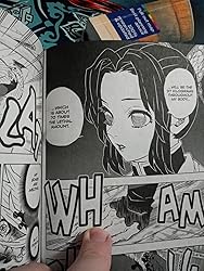 Amazon.com: Demon Slayer: Kimetsu no Yaiba, Vol. 19 (19): 9781974718115 ...