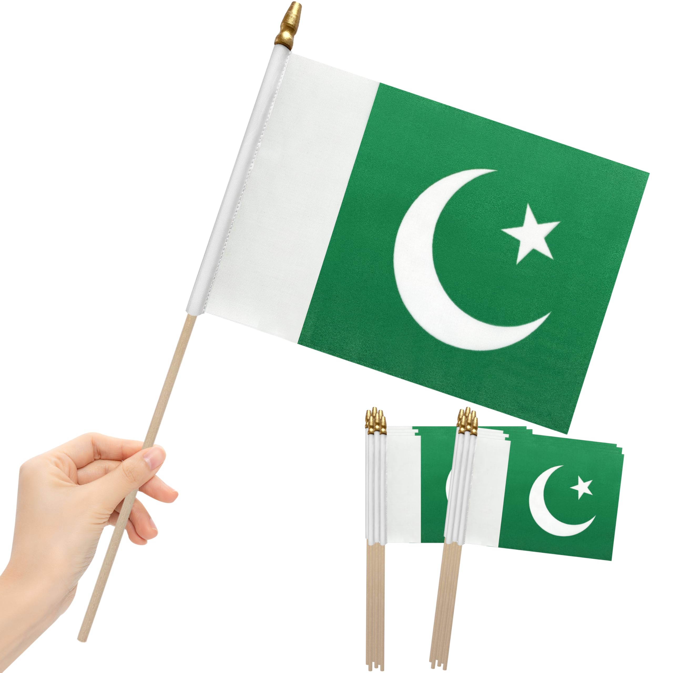 12pcs 8 12 Inch Pakistan Flags Small Pakistani Flag On | Desertcart INDIA