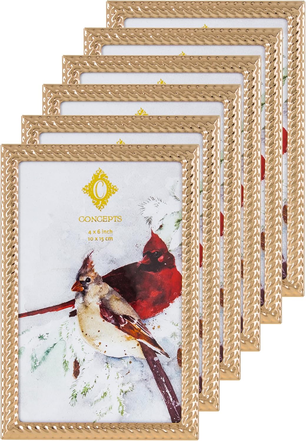 Amazon.com - Value Pack (Set Of 6) 4x6 Metal Rope Picture Frames for ...