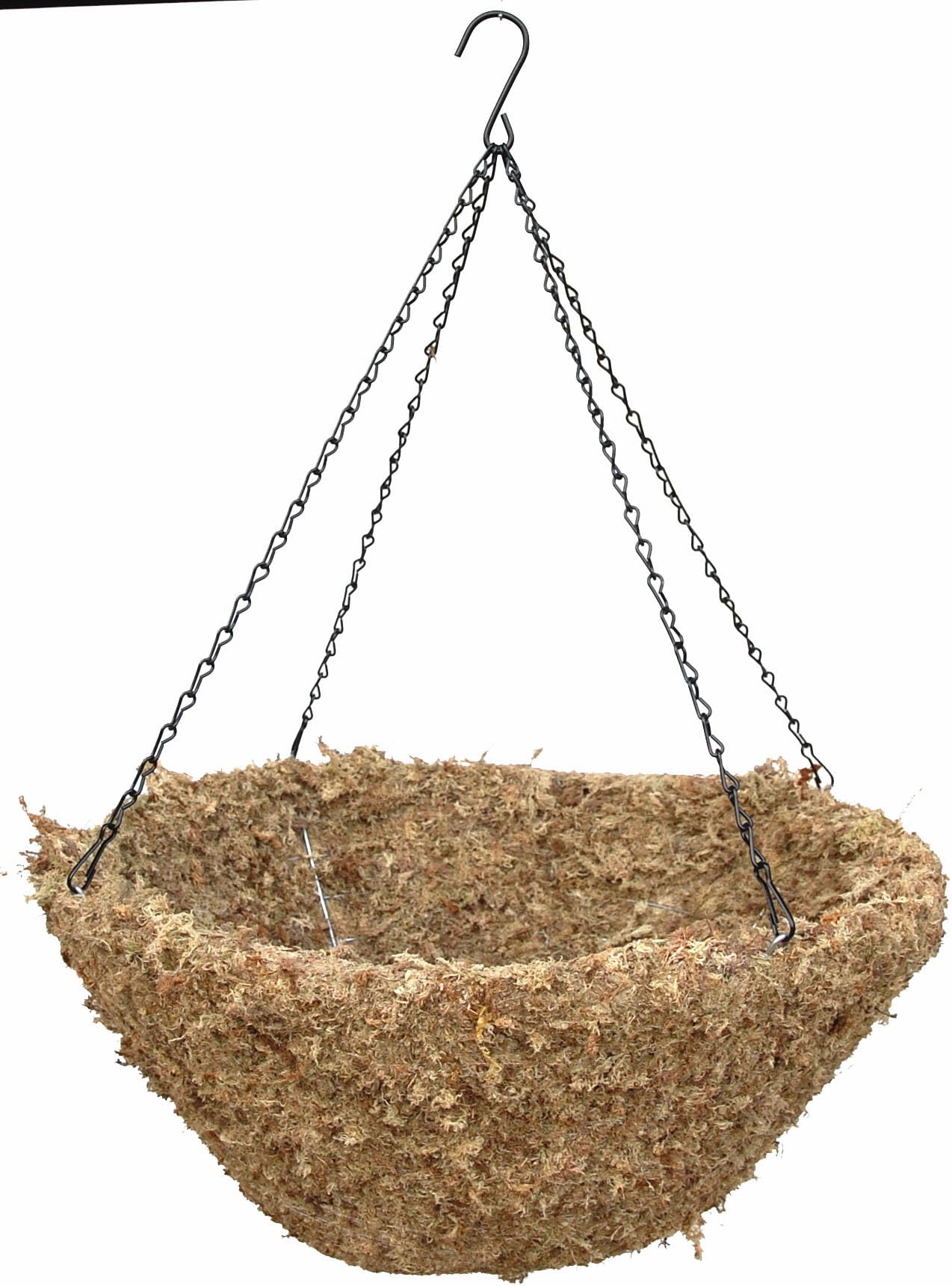 Amazon.com: Topiary Art Works 14" (Inside Diameter) Sphagnum Moss ...