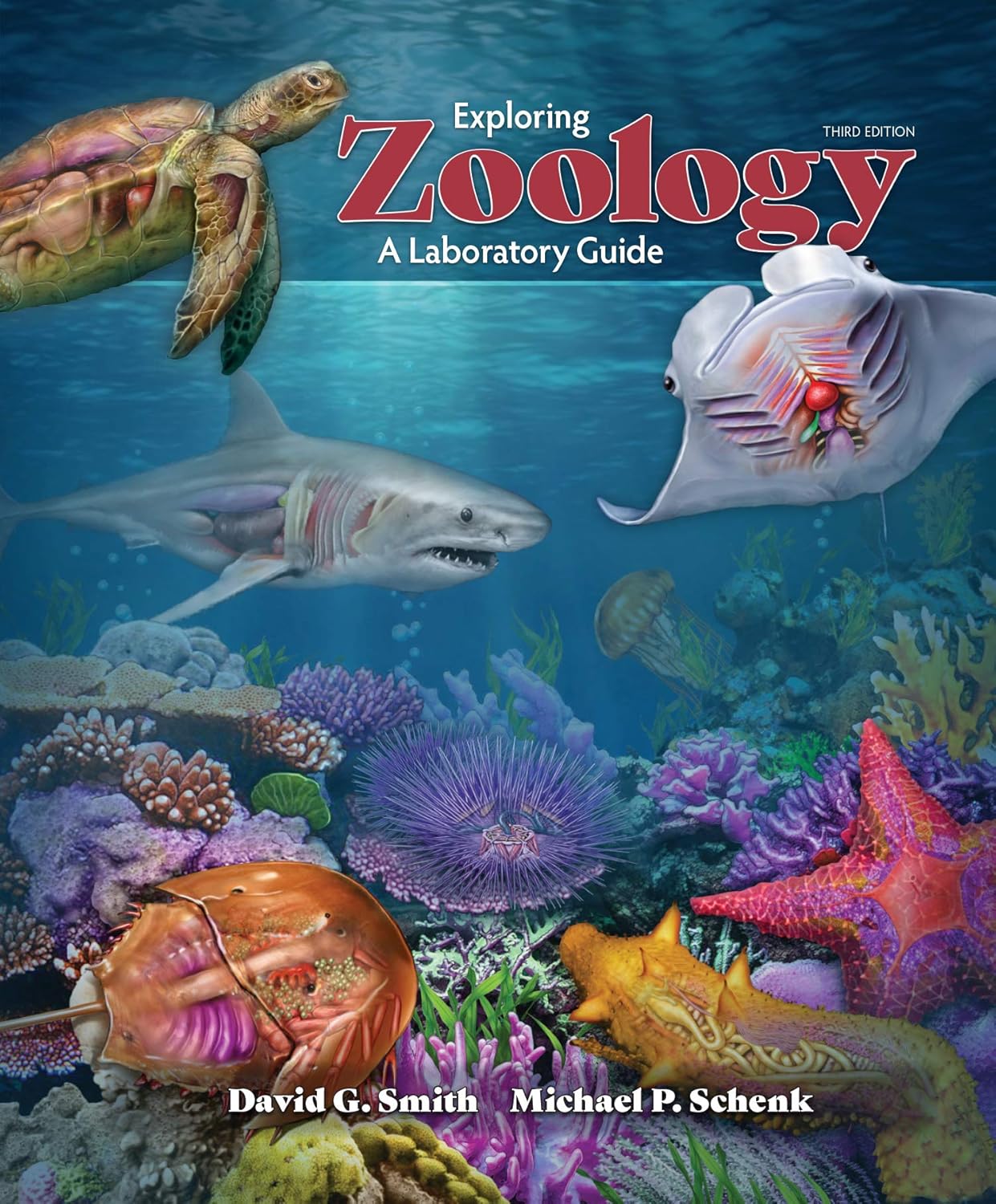 Explorando Zoología: Guía de laboratorio : David G. Smith, Michael P. Schenk: Amazon.com.mx: Libros
