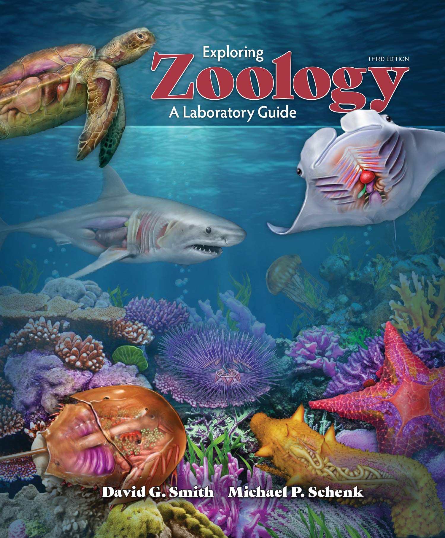 Amazon.com: Exploring Zoology: A Laboratory Guide, 3e: 9781640432048 ...