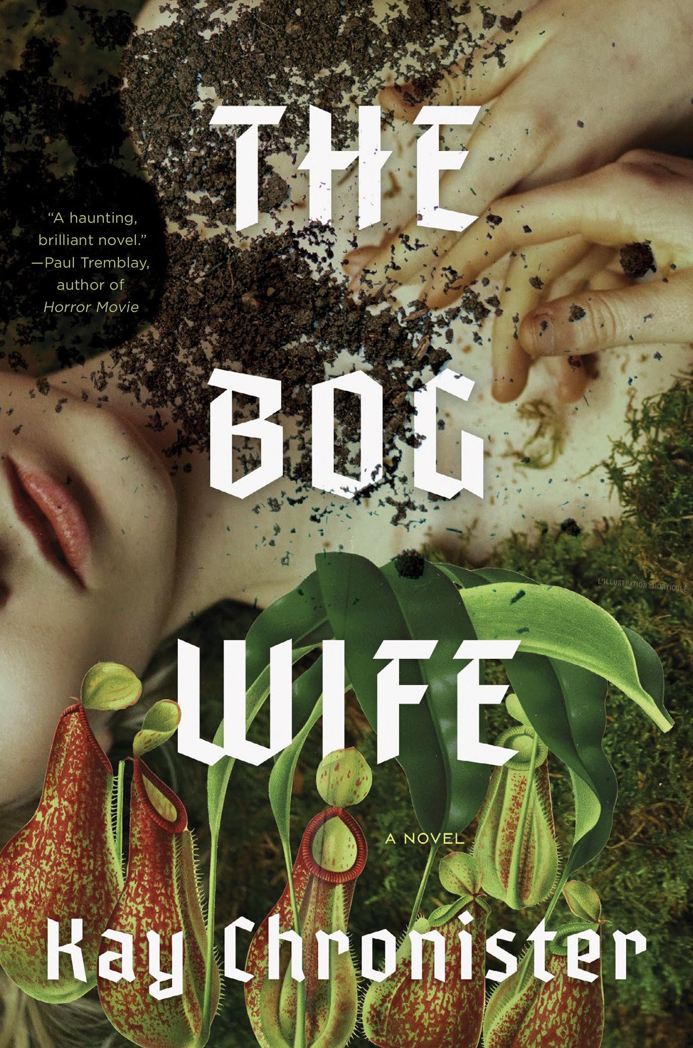 The Bog Wife: Chronister, Kay: 9781640096622: Amazon.com: Books