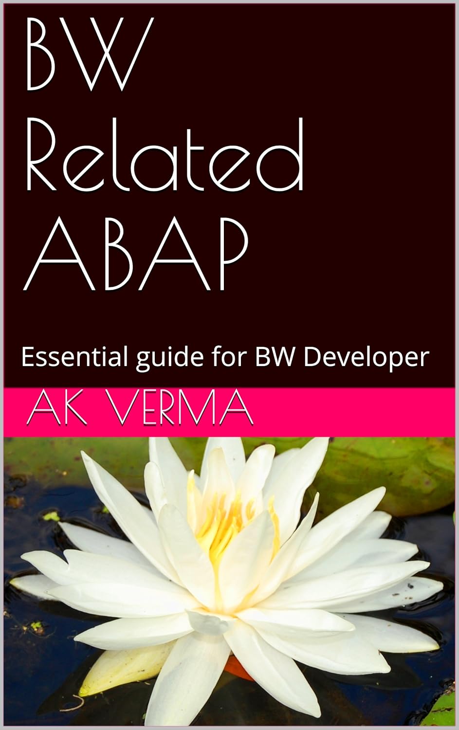 BW Related ABAP: Essential guide for BW Developer (SAP BW BASICS ...