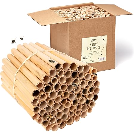 Amazon.com: Navaris Cardboard Bee Nesting Tubes (Pack of 200) - 6" Long ...