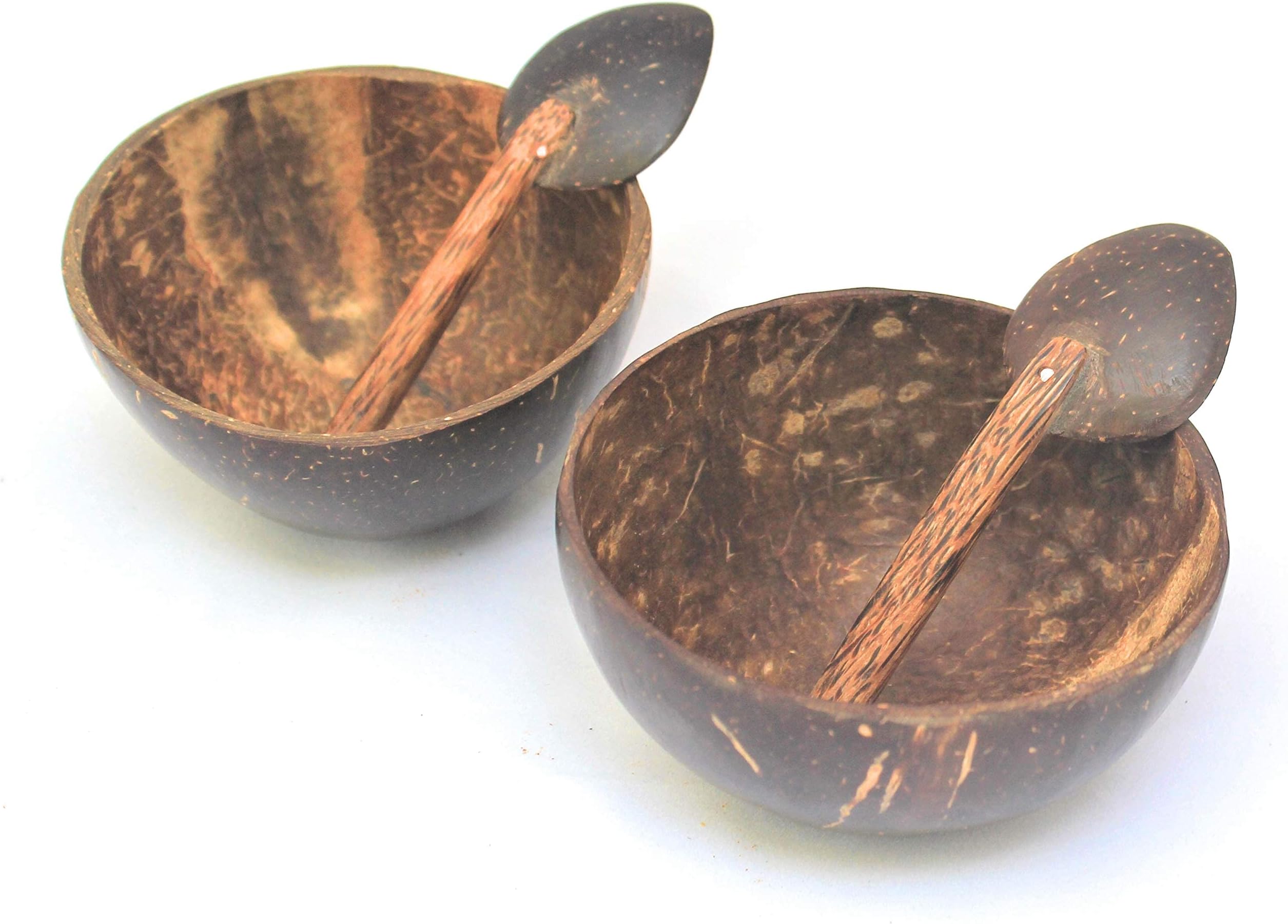 Buy Kalpavriksha Crafts Coconut Shell Breakfast Bowl | (Set 2 Bowls ...