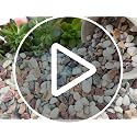 Amazon.com : FANTIAN 2 lbs Natural Mixed Color Pea Gravel Pebbles, 3/8 ...