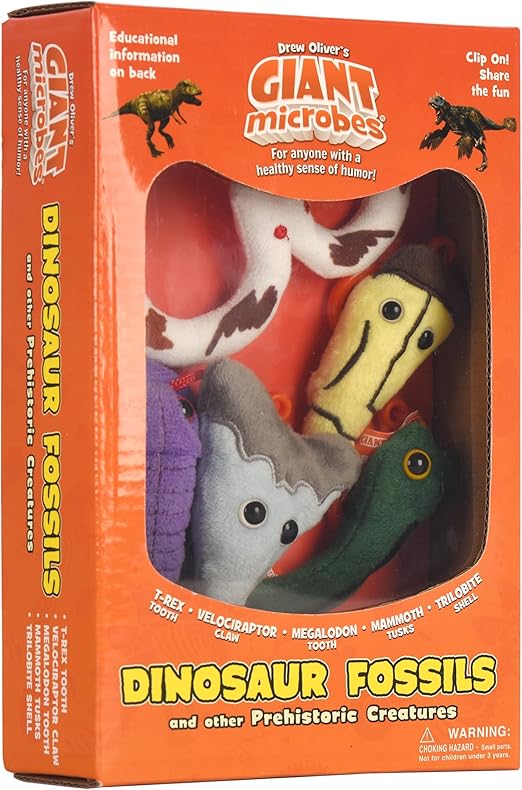 Amazon.com: Fuzzy Fossils Dinosaur Fossils Themed Gift Box, Dinosaur ...