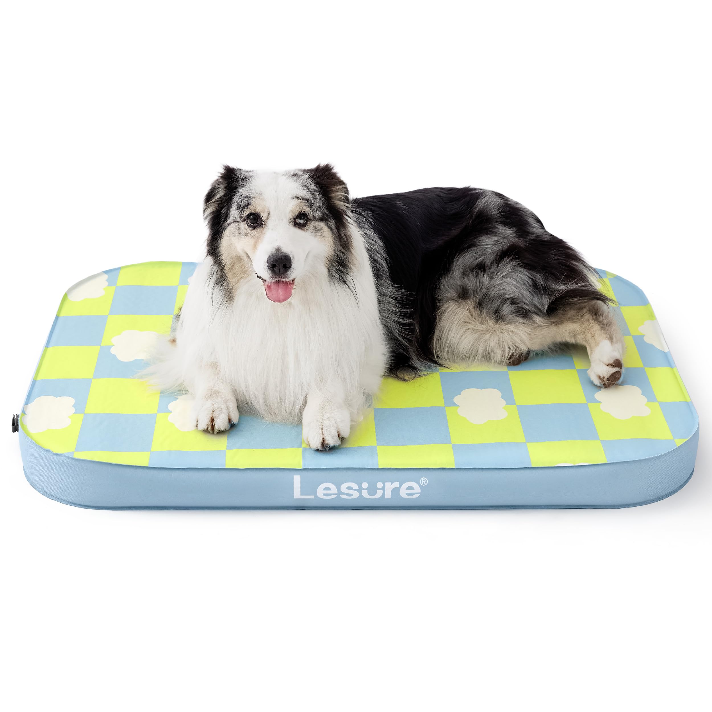 Amazon.com : Lesure Inflatable Waterproof Dog Bed, Portable Outdoor ...