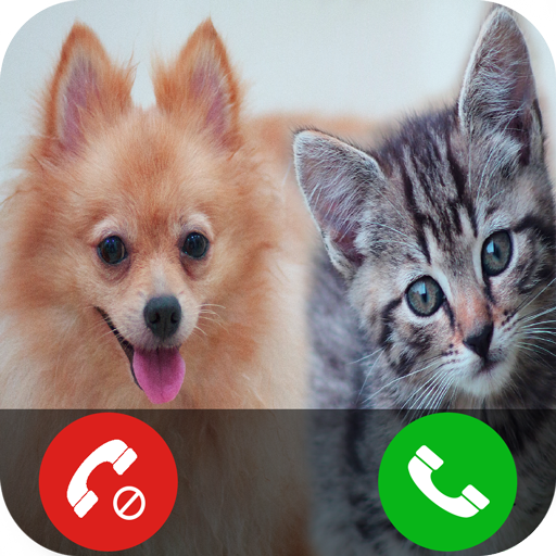 Fake Call from Pet Prank Calling - App on the Amazon Appstore