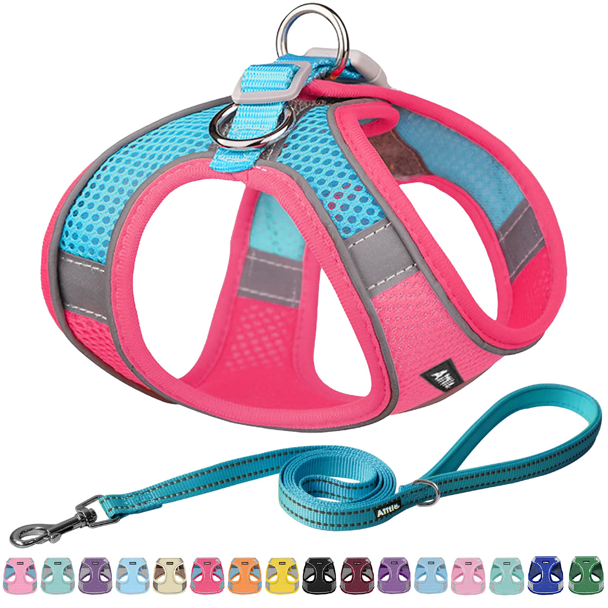 Amazon.com : AIITLE Step in Dog Harness and Leash Set - Spring No Pull ...
