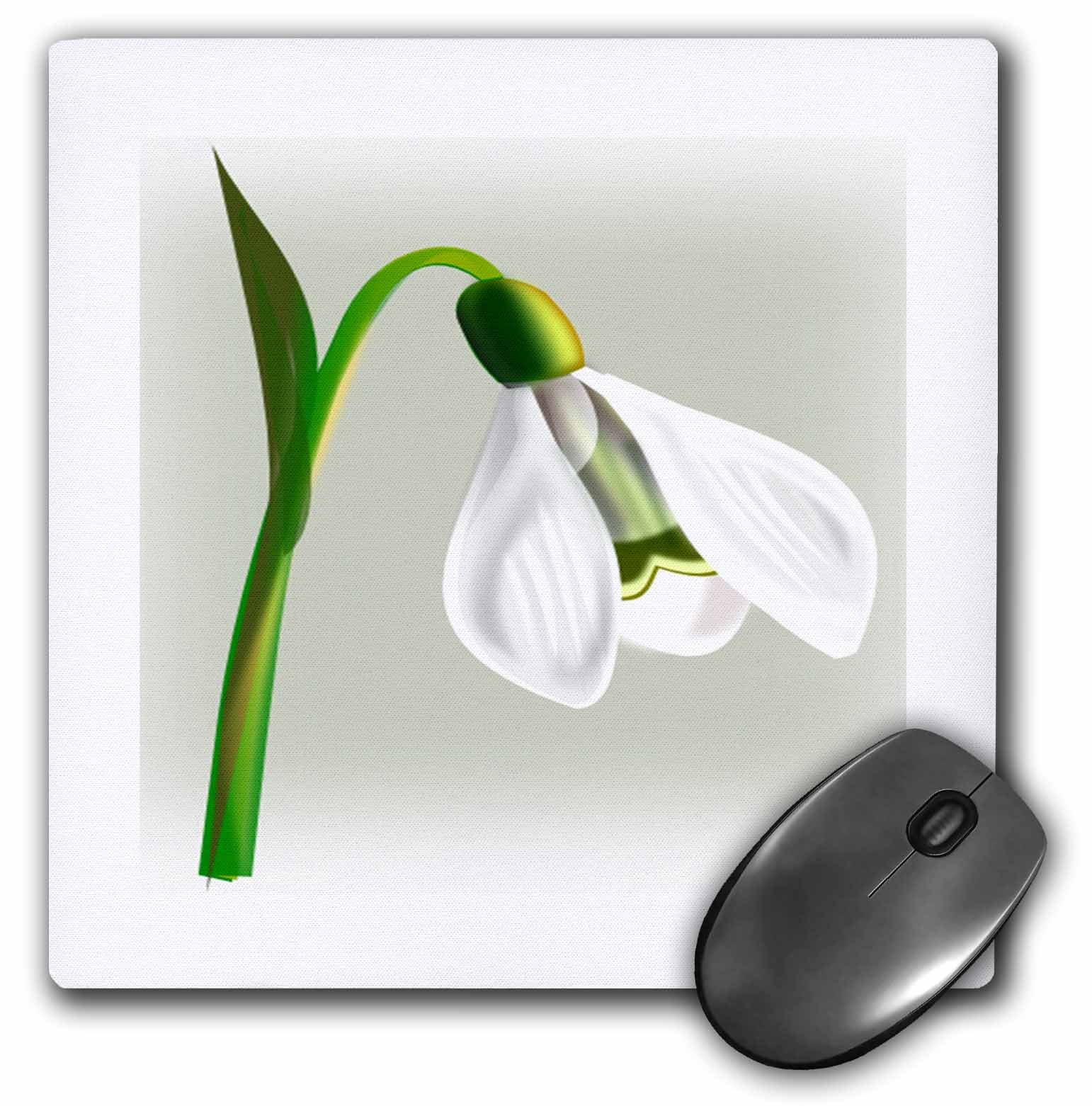 Snowdrop Flower Drawing
