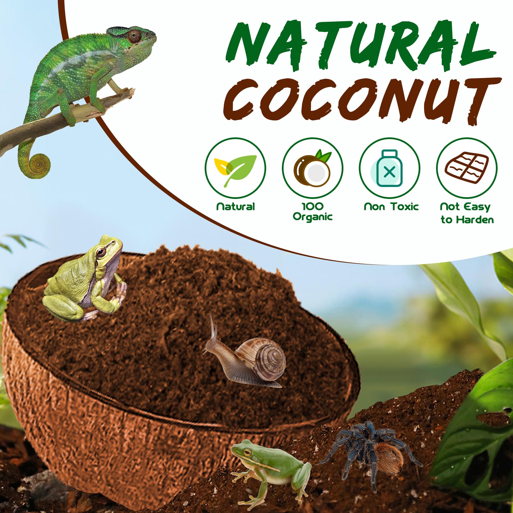 Snapklik.com : Coco Coir Bricks Substrate For Reptiles,3 Pcs Natural ...