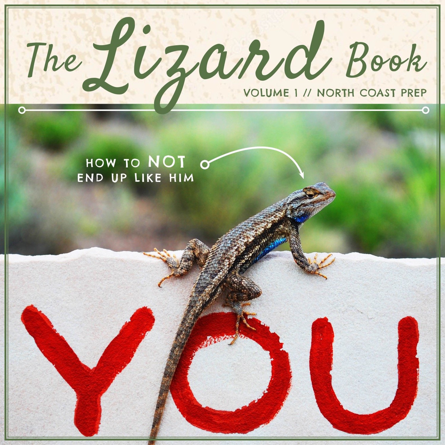 Amazon.com: The Lizard Book, Vol. 1: How to Master Your Anxious Mind ...
