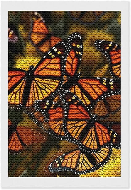 Amazon.com: Monarch Butterflies Diamond Art Painting Kits 8"x12" for ...