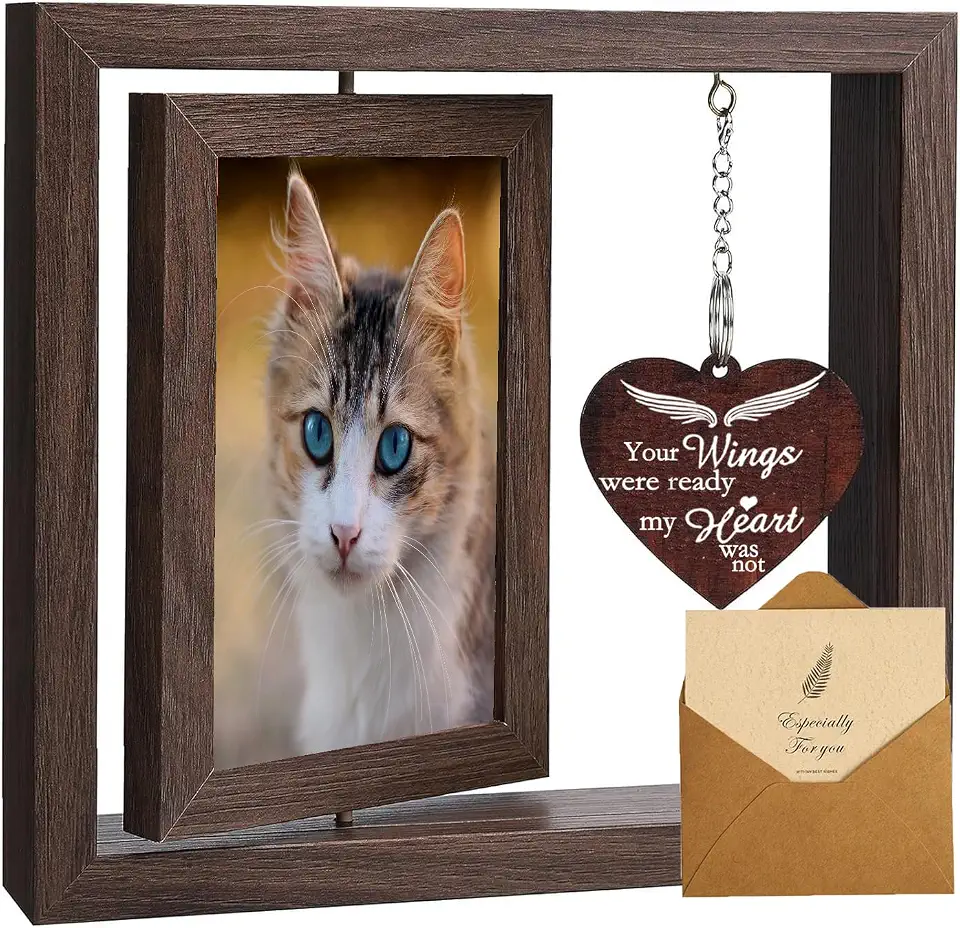 Spiritual Significance: Cats, Death, And The Afterlife | PetShun