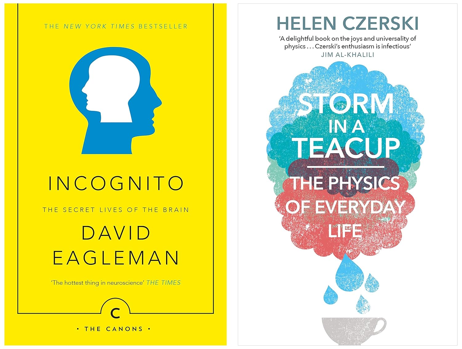 Incognito: The Secret Lives of The Brain (Canons) & Storm in a Teacup ...