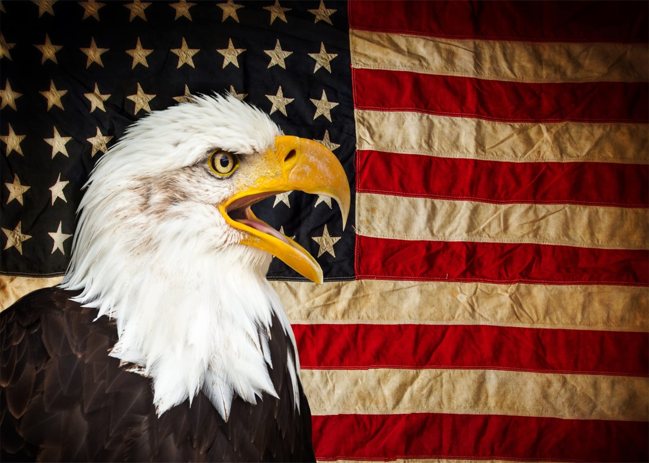 Fierce Eagle Flag