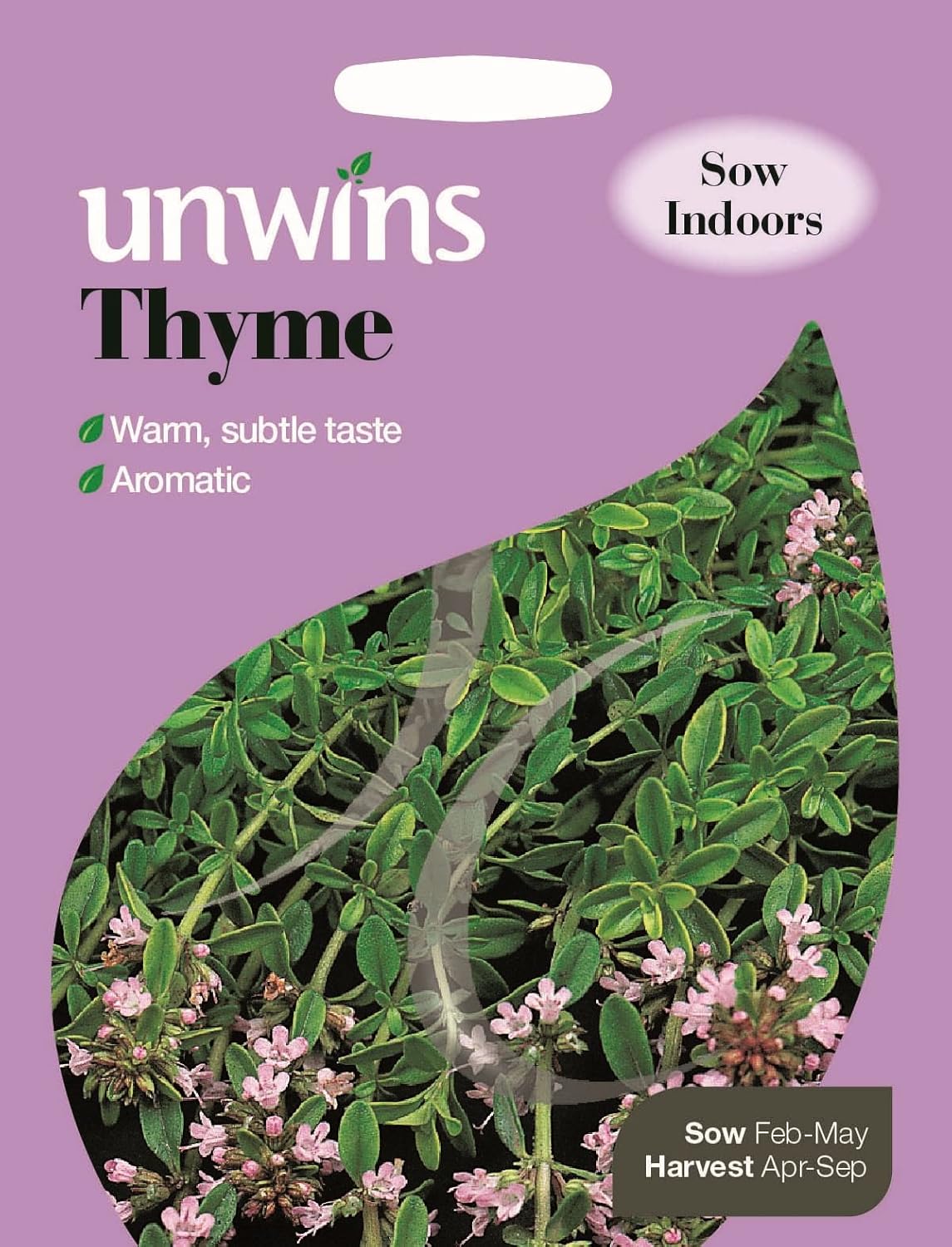 Unwins Pictorial Packet - Herb Thyme - 450 Seeds : Amazon.co.uk: Garden