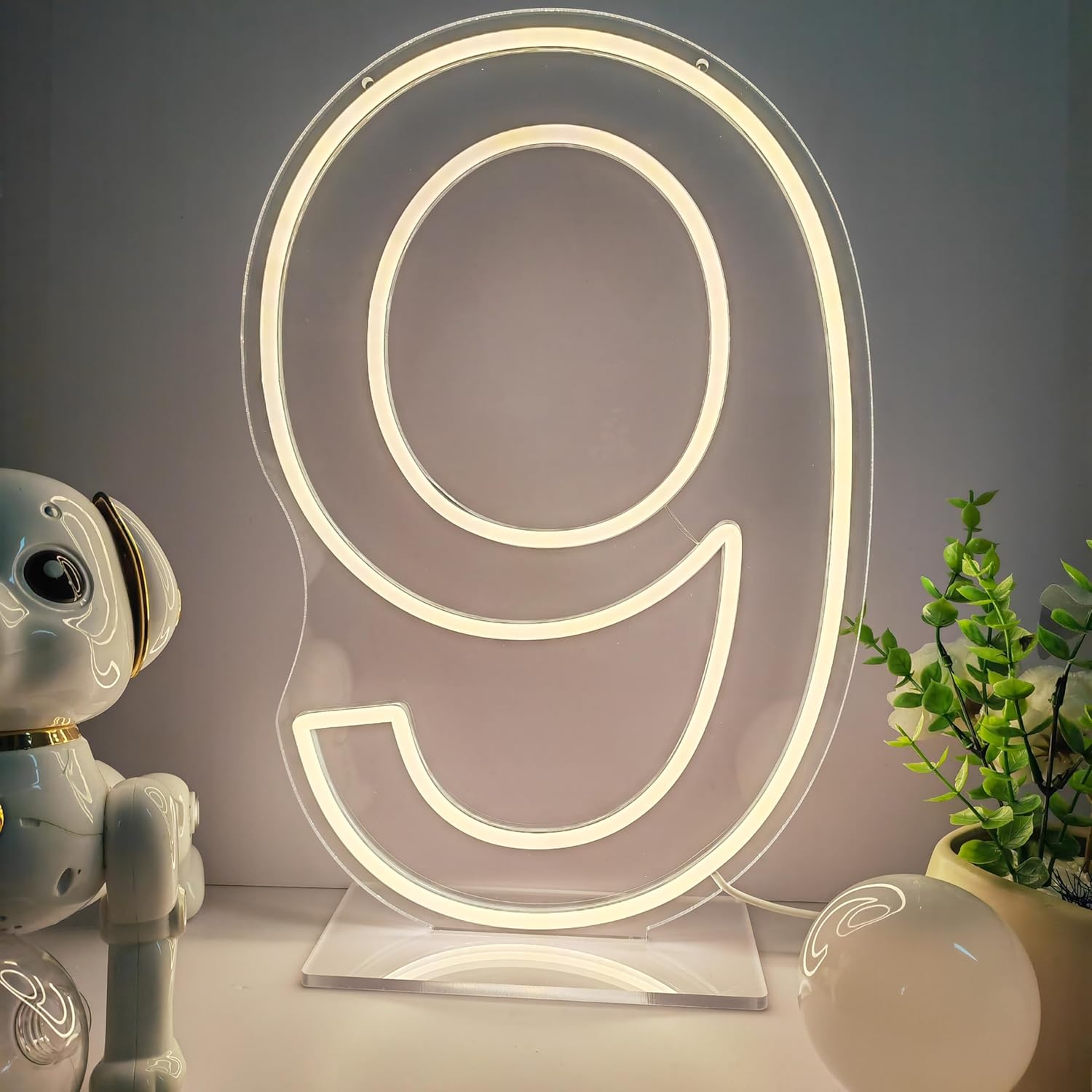 Amazon.com : Neon Signs Number 9 Birthdays Decor Neon Lights Party USB ...