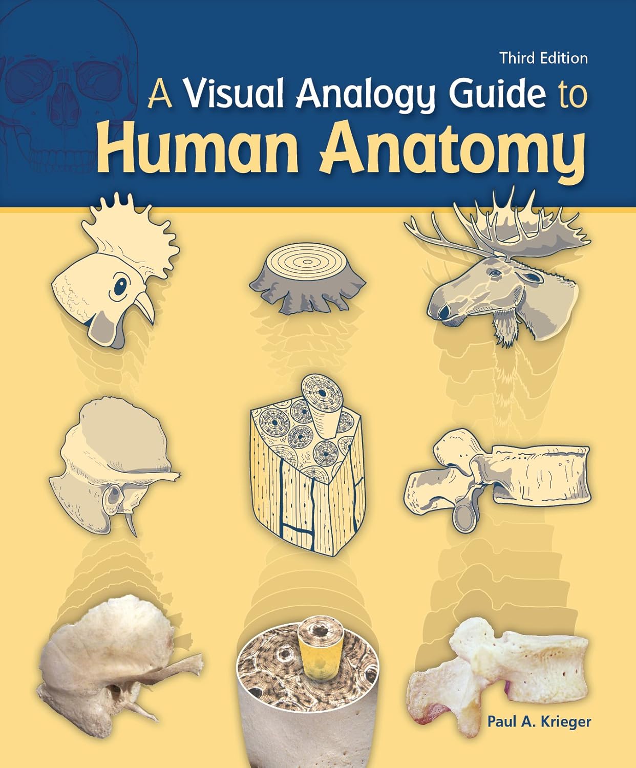 Buy A Visual Analogy Guide to Human Anatomy Book Online at Low Prices ...