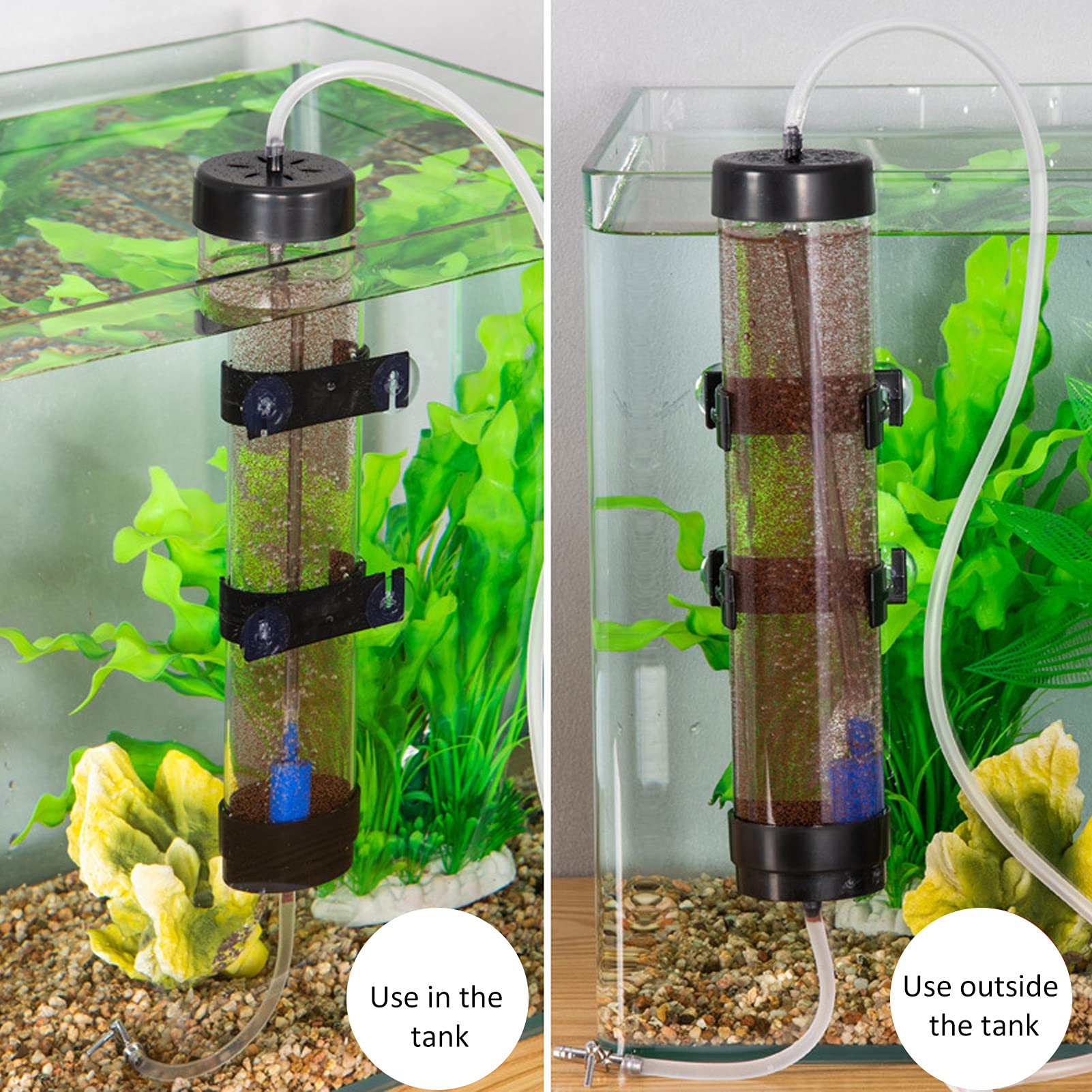 Snapklik.com : Kuuleyn Brine Shrimp Hatchery Kit