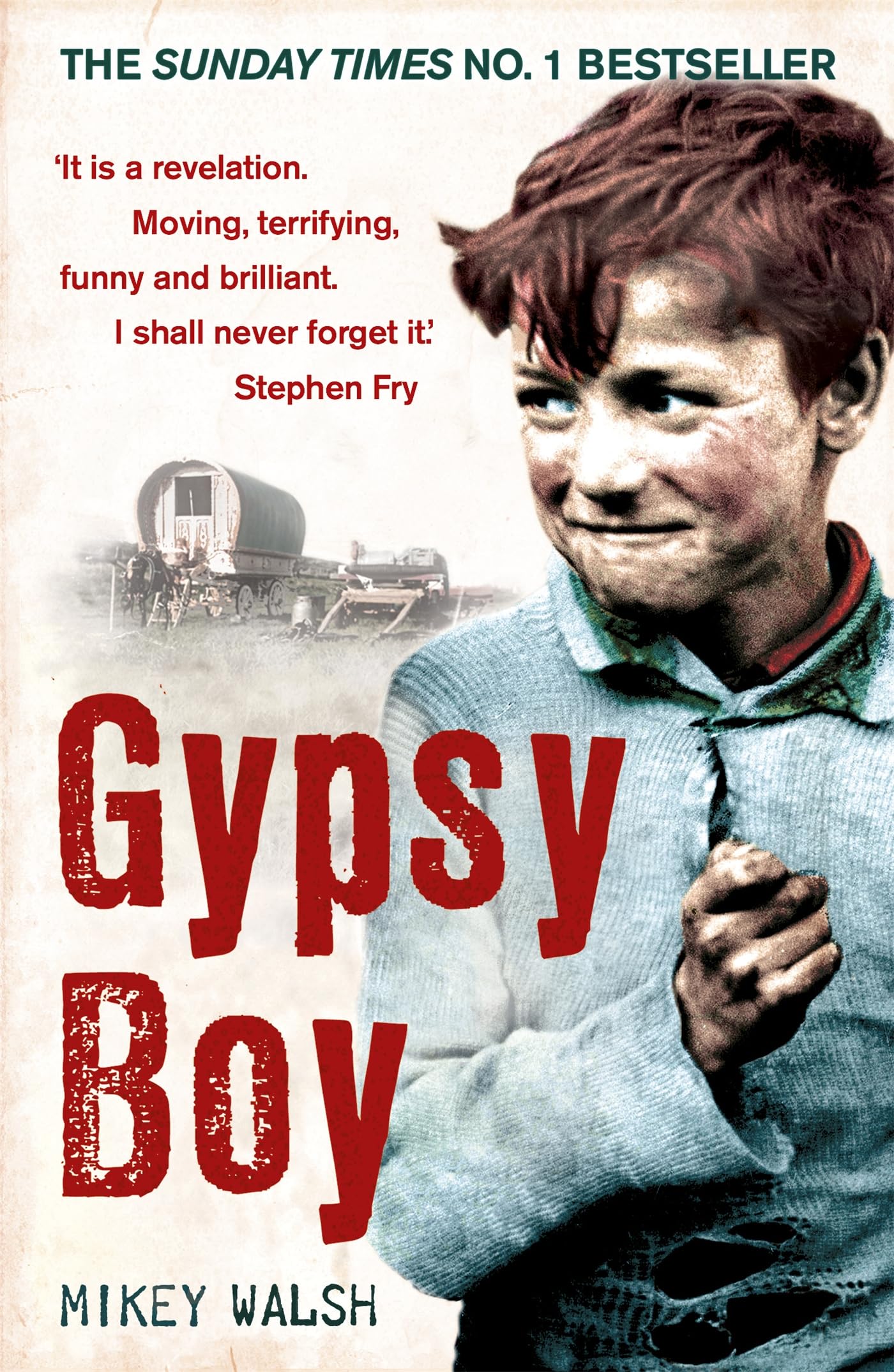 Gypsy Boy: The bestselling memoir of a Romany childhood: Amazon.co.uk ...