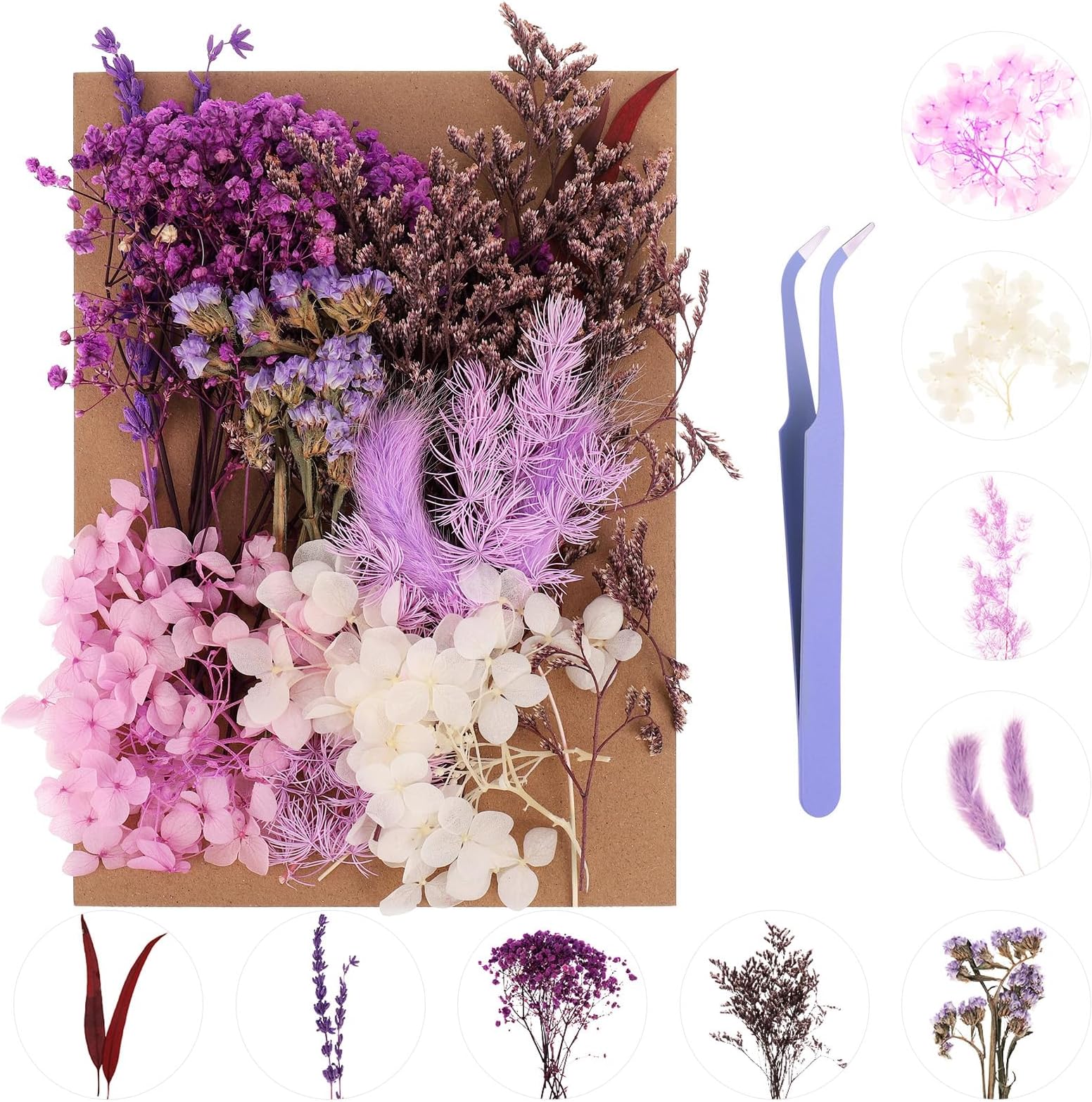 Amazon.com: 2 Boxes Dried Purple Flowers Dried Flowers for Resin Crafts ...