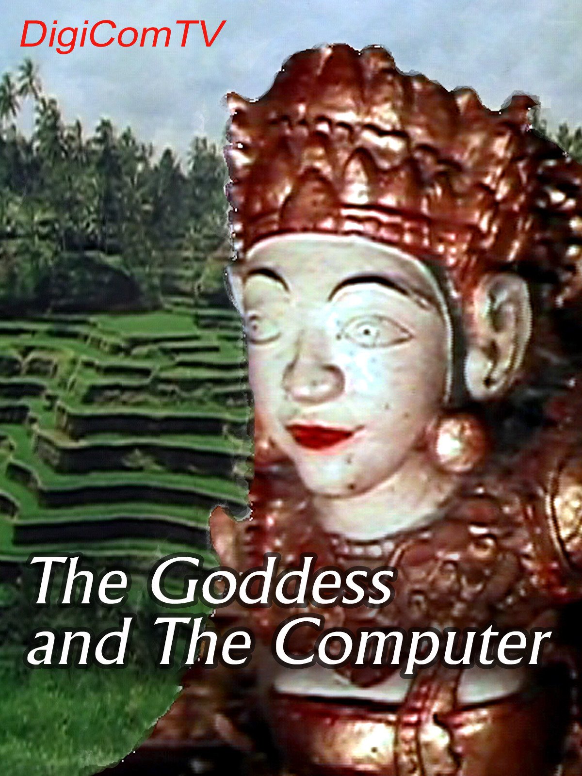 Amazon.com: The Goddess And The Computer : Andre Singer, INCA: Movies & TV