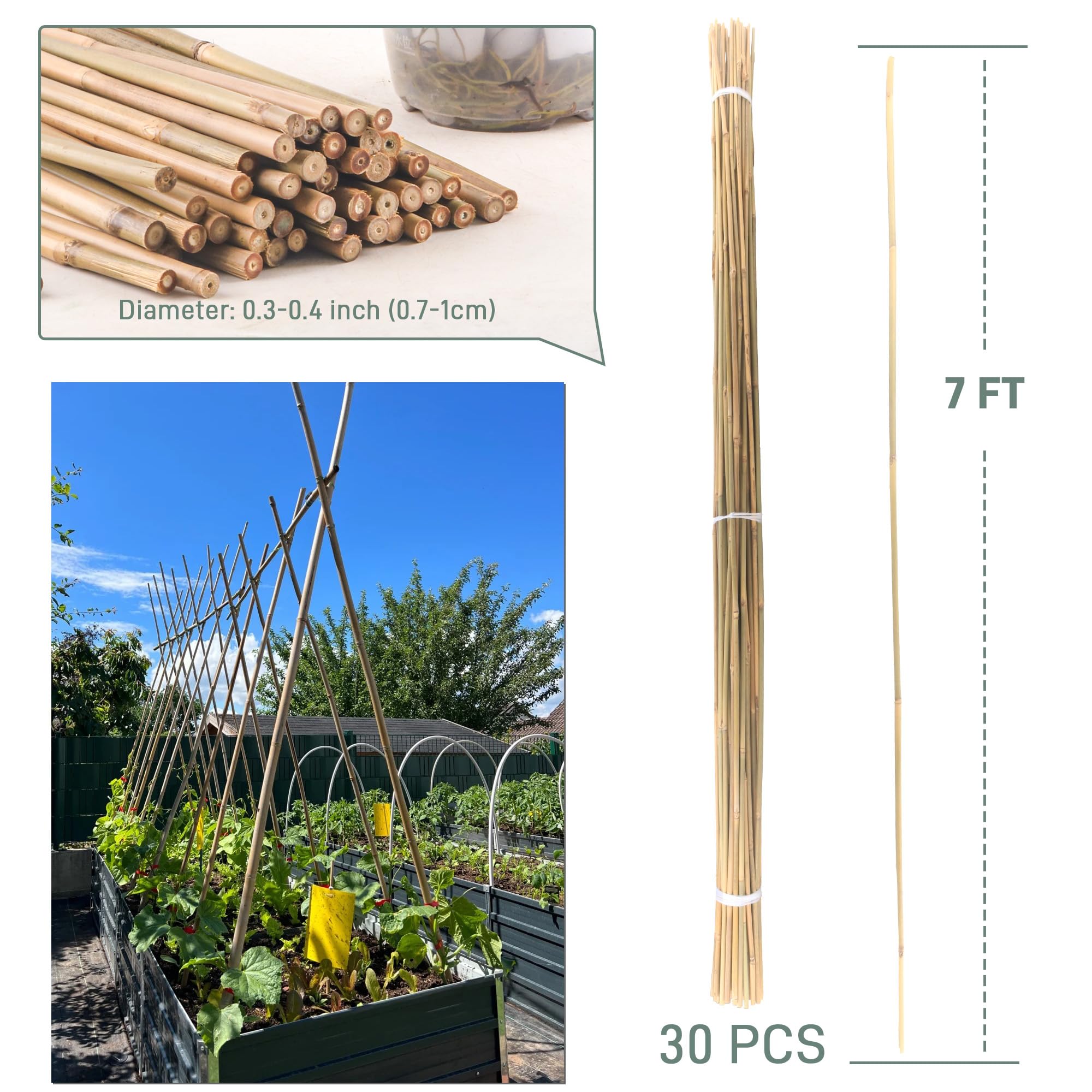 Snapklik.com : 30Pcs Bamboo Plant Stakes For Indoor Outdoor Plants, 0. ...