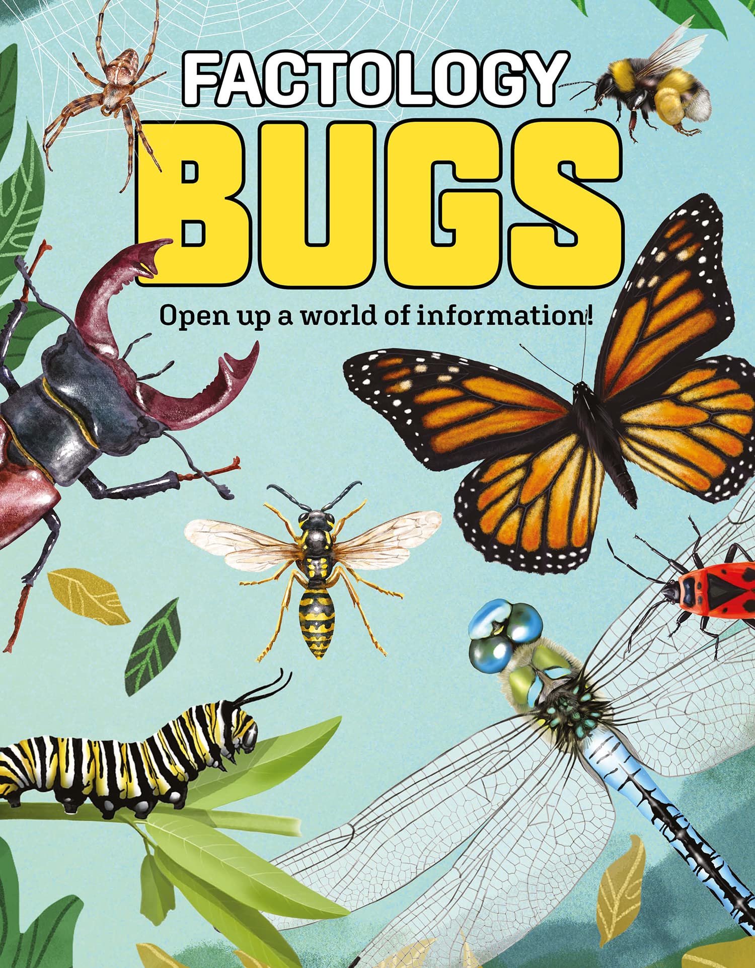Factology: Bugs: Open Up a World of Information!: Duff, Susie, Pierce ...