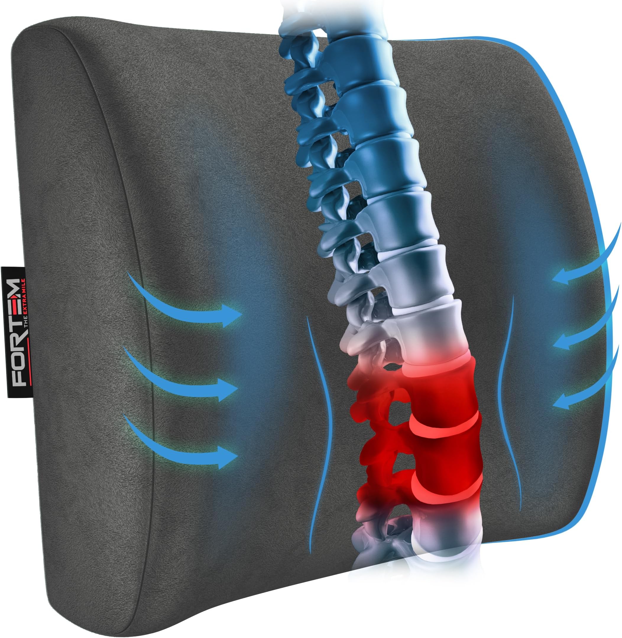 FORTEM Coussin De Soutien Lombaire, Support Ergonomique Maintien du Dos ...