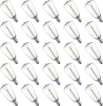 25 Pack Edison E12/C7 Low Wattage Outdoor Light Bulbs - 1W, 2700K ...
