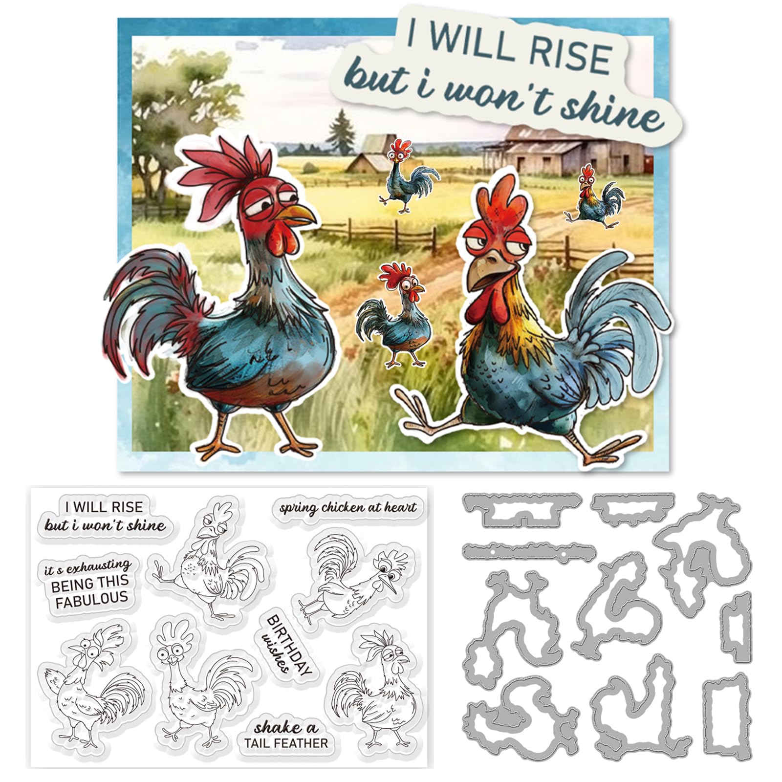 Amazon.com : ACRNIGHEET Cartoon Chicken Clear Stamp and Metal Die Set ...
