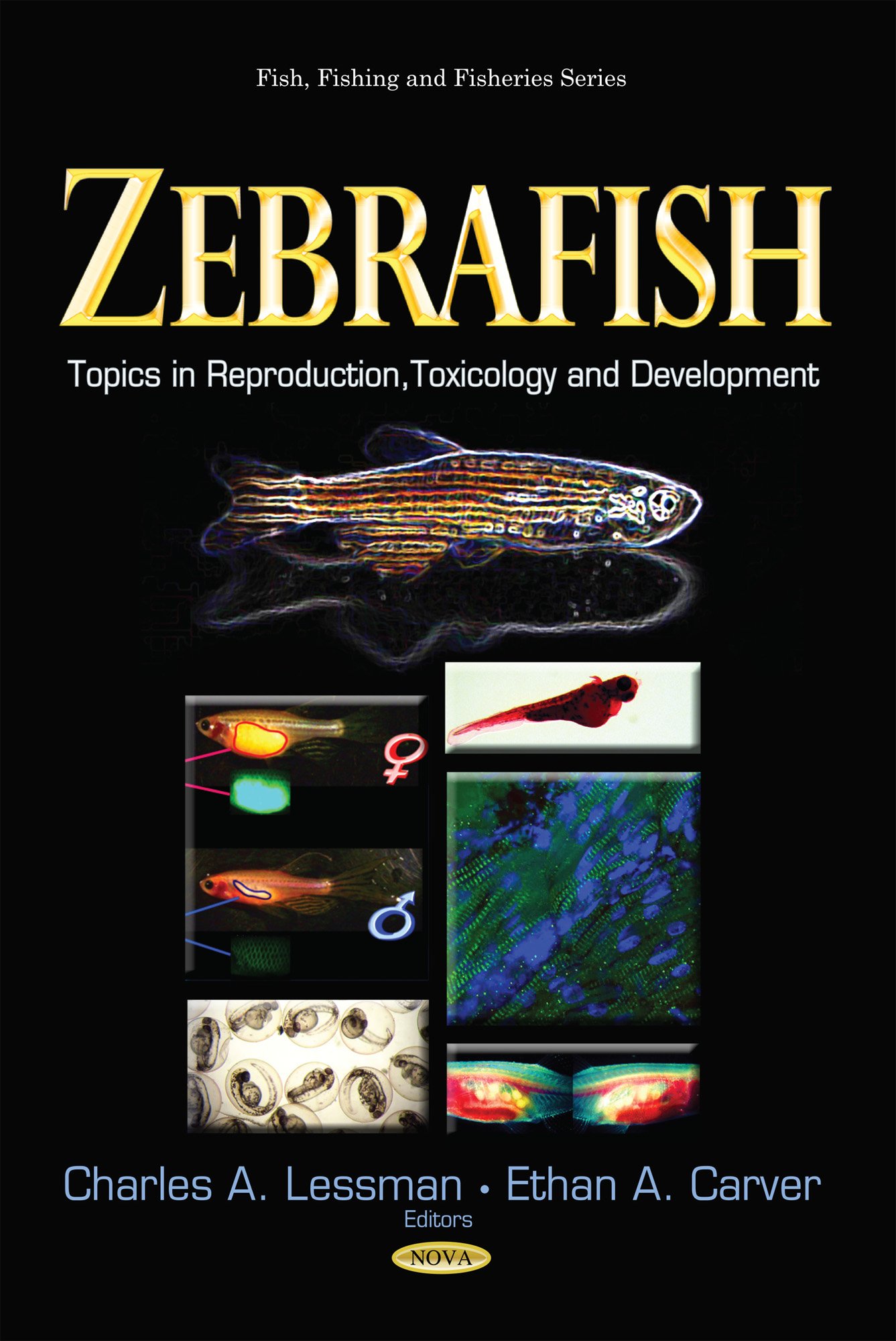 Zebrafish: Topics in Reproduction, Toxicology and Development (Fish ...
