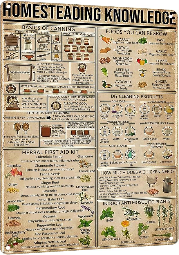 Amazon.com : HYBLOM Vintage Homesteading Knowledge Poster Basics of ...