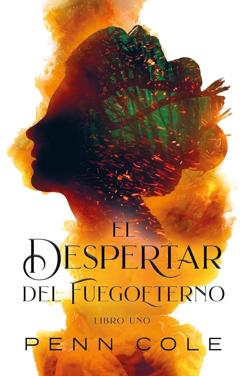 El despertar del Fuegoeterno, Penn Cole (Saga Fuegoeterno, 1)