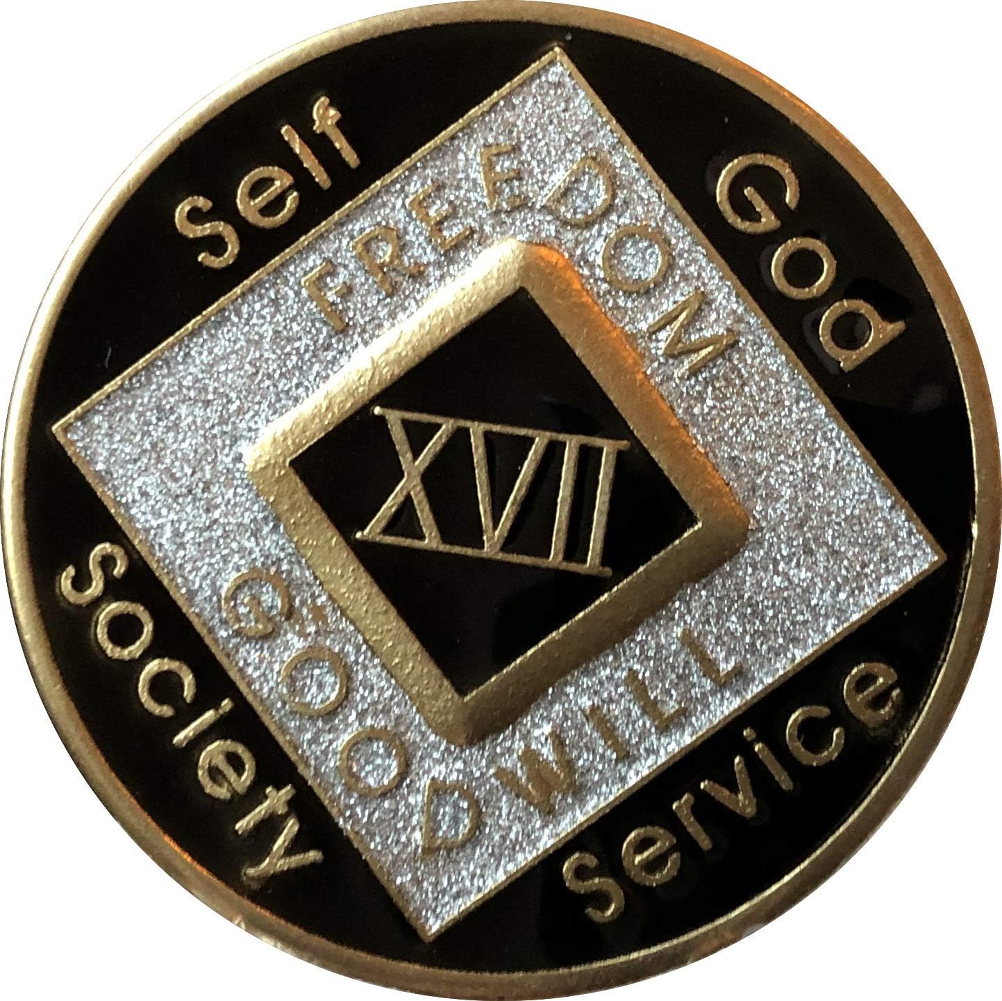 17 Year Black and Silver Glitter NA Medallion Official Narcotics ...