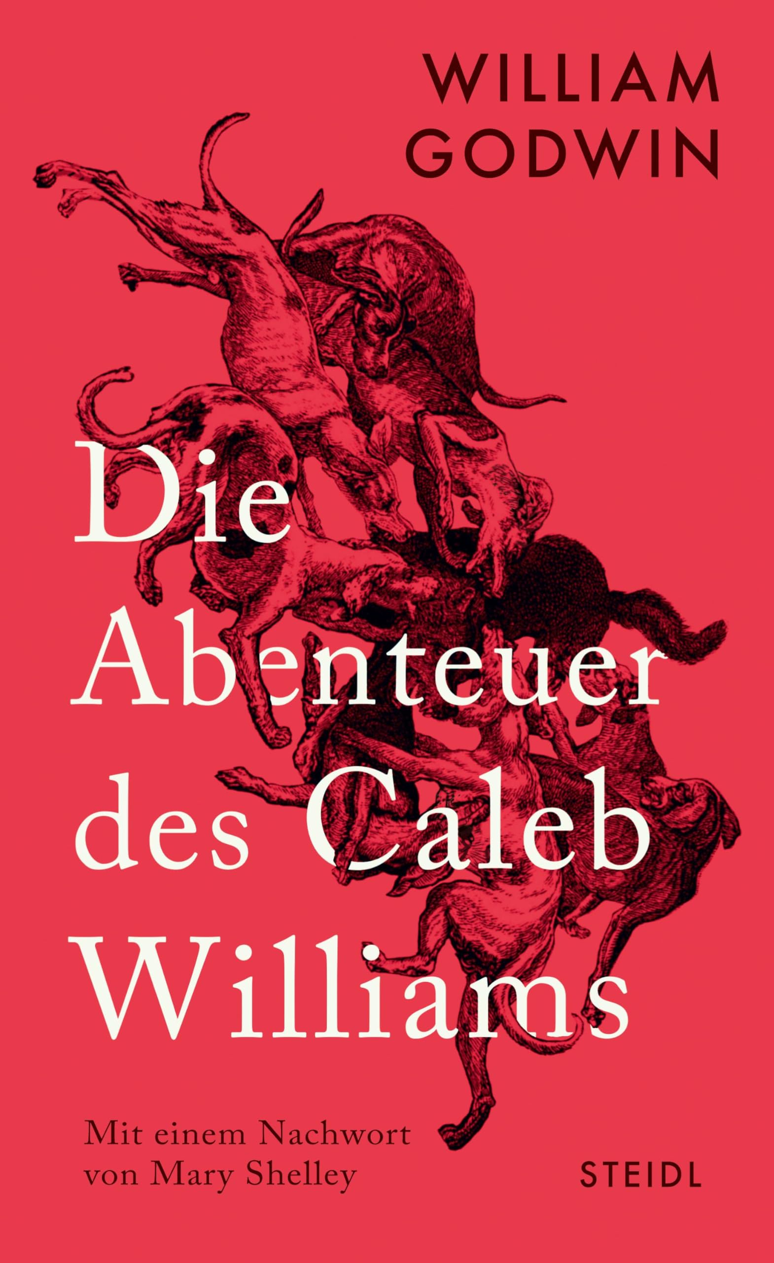 Die Abenteuer des Caleb Williams : Pechmann, Alexander, Godwin, William ...
